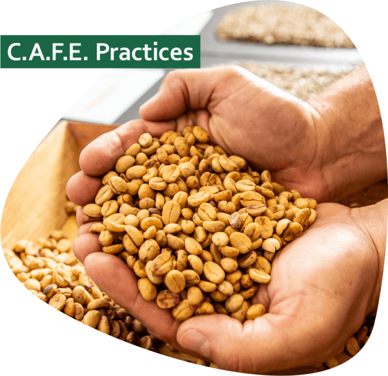 Panamerican Coffee Trading Co. S.A.