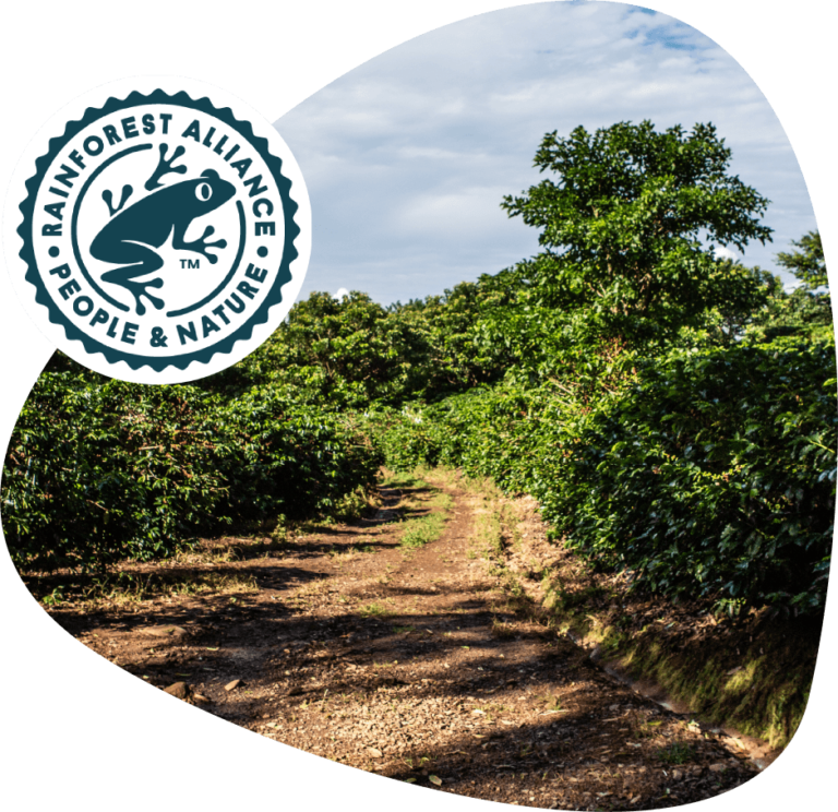 Panamerican Coffee Trading Co. S.A.