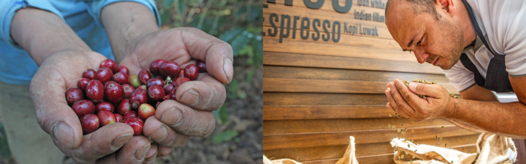 Panamerican Coffee Trading Co. S.A.